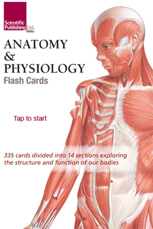 Anatomy Physiology Flash Cards By Scientific Publishing Ltd 