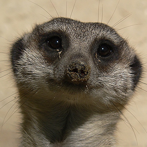 Hyper PA • Game Solver