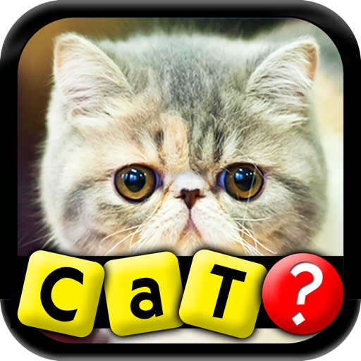 What's That Cat? - Reveal And Guess The Breed Challenge by Huaqin Wang