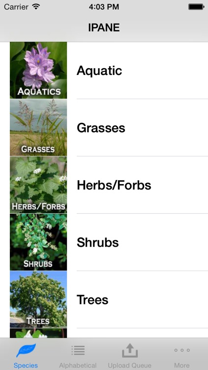 Invasive Plant Atlas of New England by Charles T. Bargeron