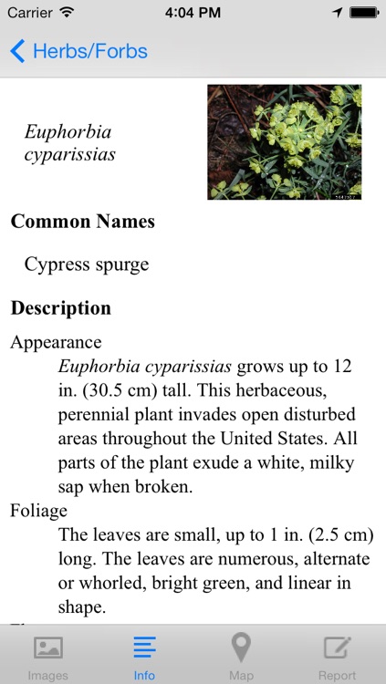 Invasive Plant Atlas of New England by Charles T. Bargeron