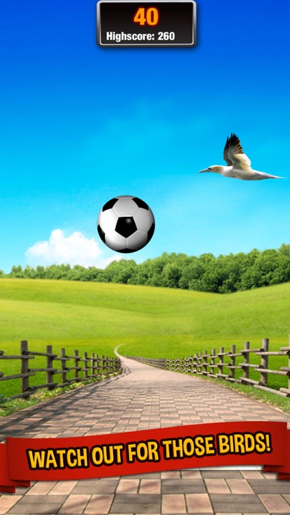 Keepy Uppy - Soccer ball kick up drill game for soccer play by Best ...