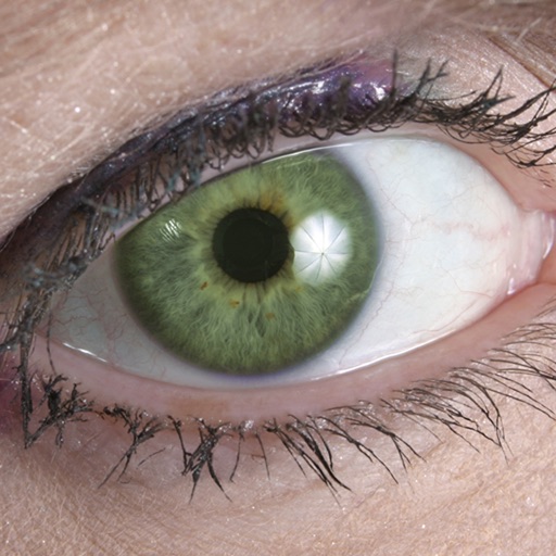 Eye Contact Trainer by Goatella