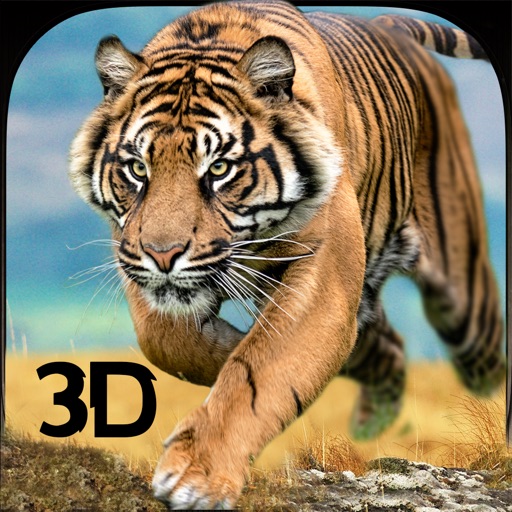 Angry Tiger Attack Simulator 3D by Usman Shiekh