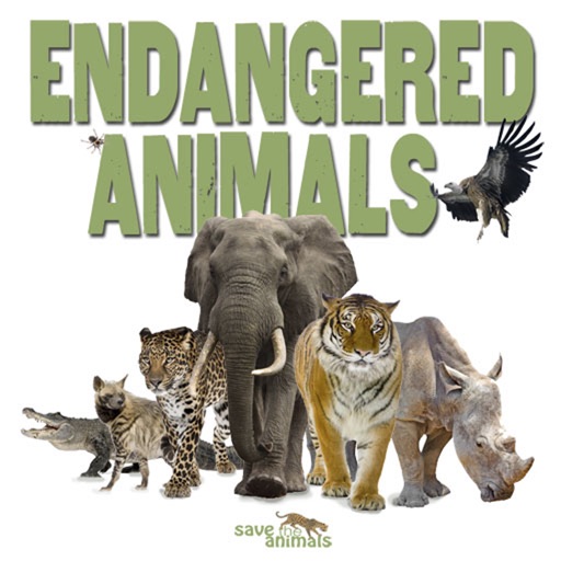 Endangered Animals by Spearhead Global Inc.