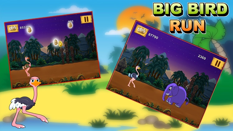 Big Bird Run - Ostrich's Crazy Jungle Splash (Free Game) by Games Nuevo ...