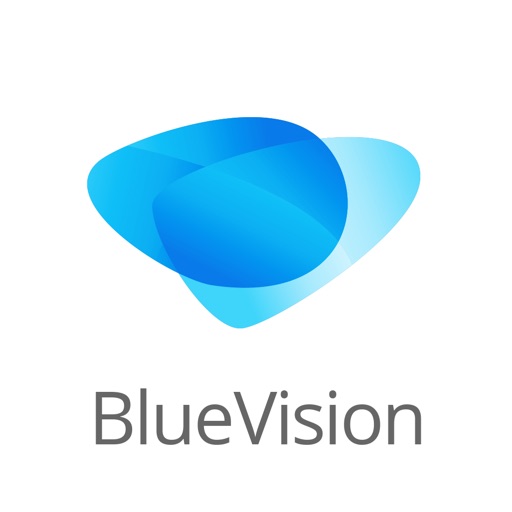 BlueVision by Vivicom International GmbH