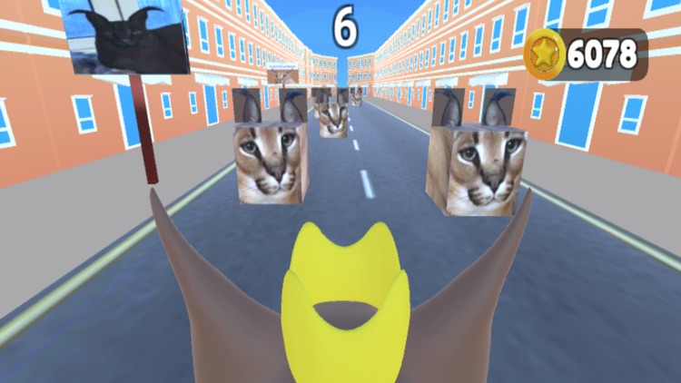 Floppa Run by Milan Janssen