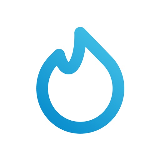 Sauermann Combustion for PC - Windows 7,8,10,11