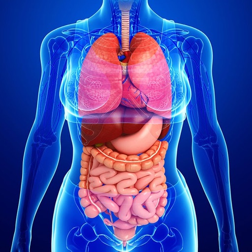 Human Physiology Quizzes Apps 148Apps