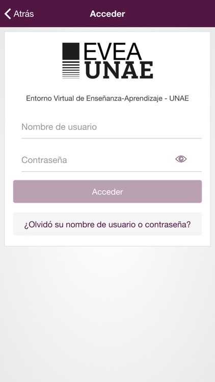 EVEA UNAE by Exducere Online