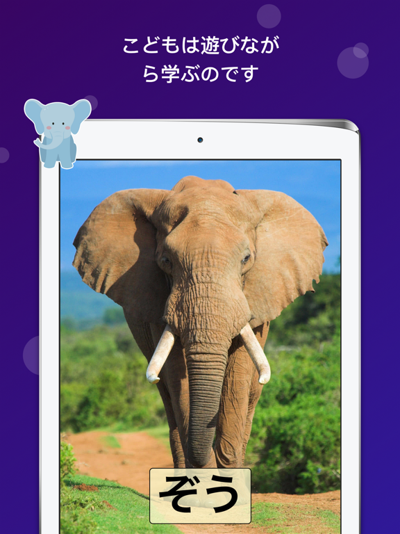 「Sound Touch Lite - Flash Cards」 - iPadアプリ | APPLION
