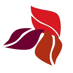 MCT CARDS by MCT Credit Union