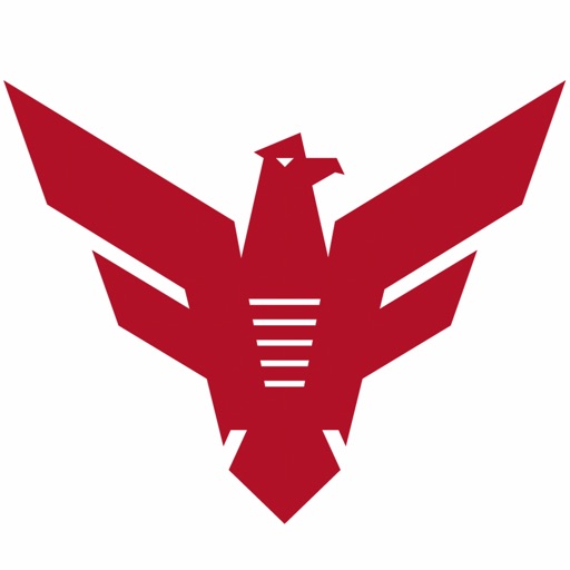 Forerunner Mentoring Program by Forerunner Fund