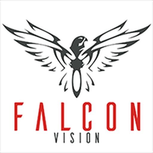 Falcon Vision by New Market Company