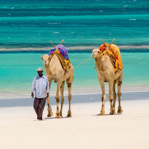 The Sands at Nomad by Andras Porffy