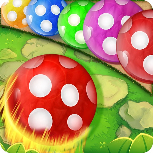 Zumu Deluxe Mania by Linh Tran Thuy