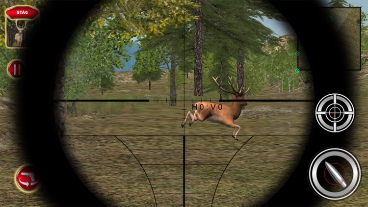 Wild Animal Hunting Adventure by RAK Games Studio