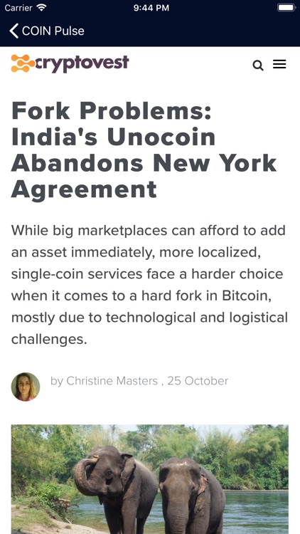 CoinPulse by Aleksey Dovgan