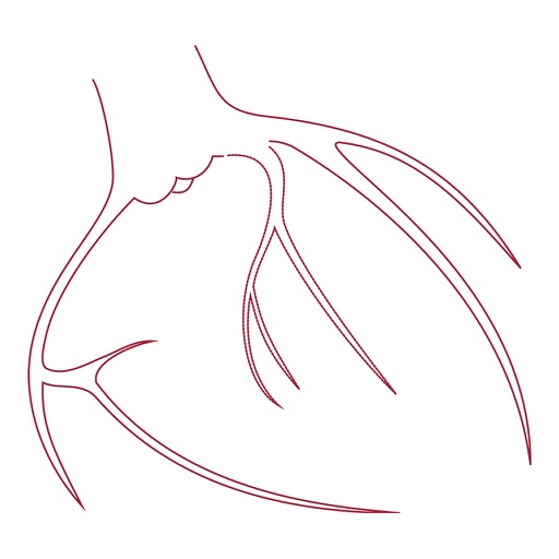 CorGuard by Igor Buzaev