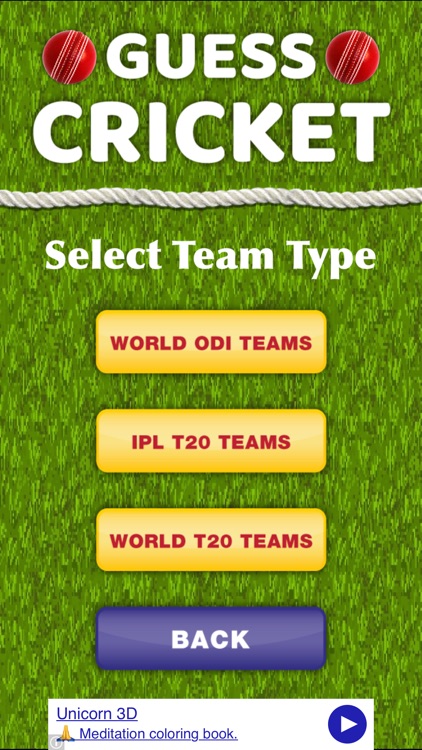 Guess Cricket 2018 by Dolphin Computers