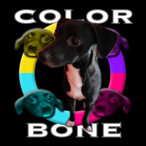 Color Bone by Rui Rego