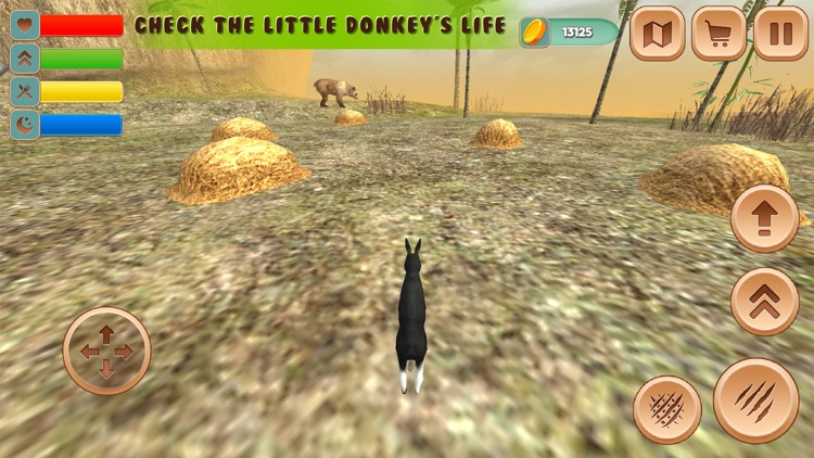 Little Horse Donkey Simulator by Natalya Staritsyna