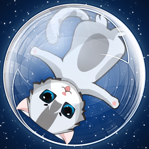 Rolling Kitty by LUO YANBIN