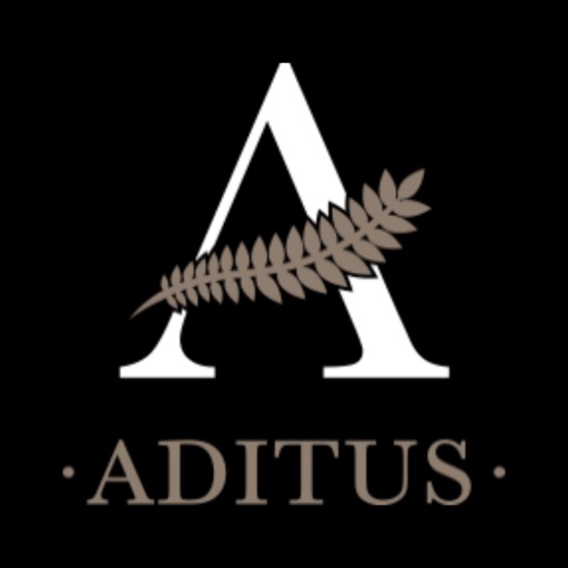 Aditus Scan by Dario Zerillo