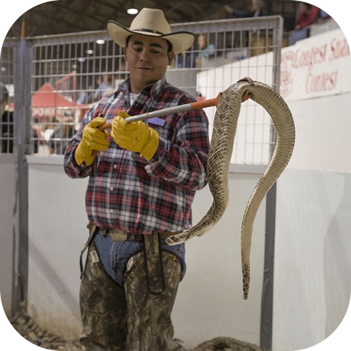 How to Catch a Snake by Chirag Pipaliya