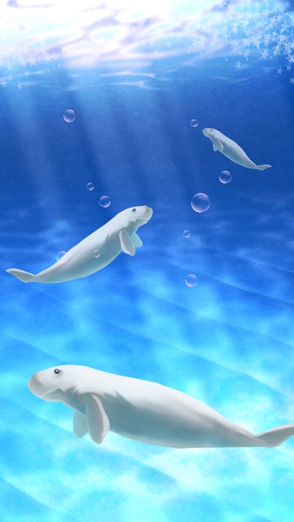 Aquarium dugong simulation by tack