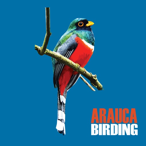Arauca Birding by Pedro gutierrez