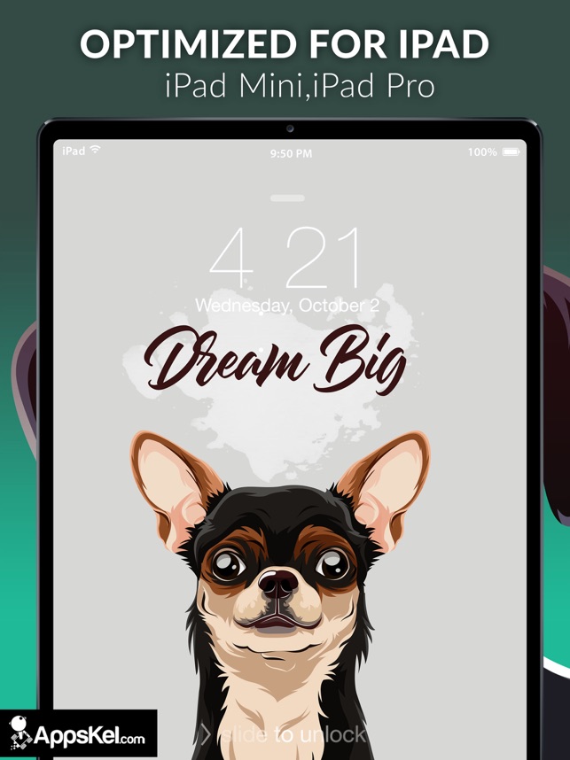 Doge Wallpaper Ipad