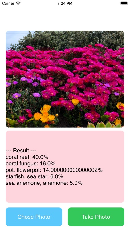 Analysis for DeepLearning by Jun Izutsu