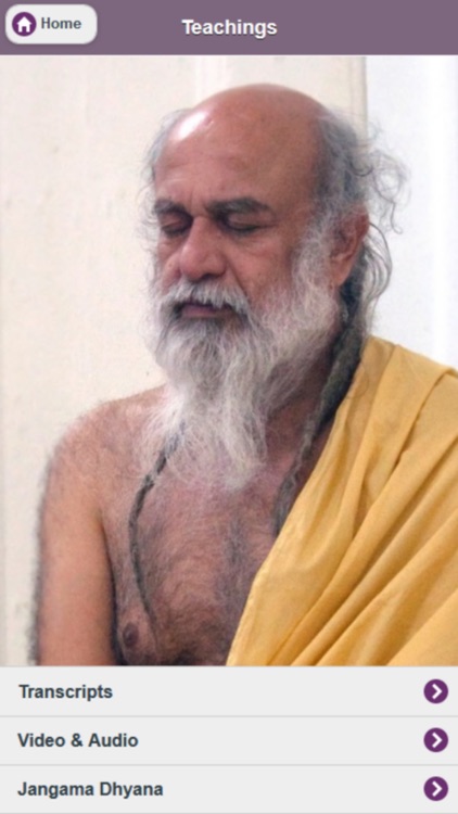 Shri Babaji by Shivarudra Balayogi