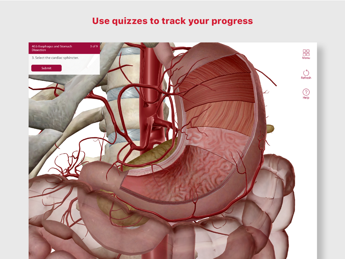 Anatomy Physiology App Voor IPhone IPad En IPod Touch AppWereld anatomy-physiology-app-voor-iphone-ipad-en-ipod-touch-appwereld