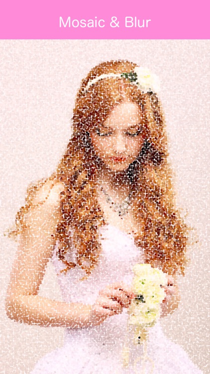 Mosaic & Blur - photo editor by handyCloset Inc.
