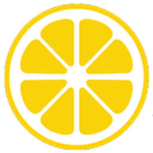 MOSAMBEE PAYMENTS by SYNERGISTIC FINANCIAL NETWORKS PRIVATE LIMITED