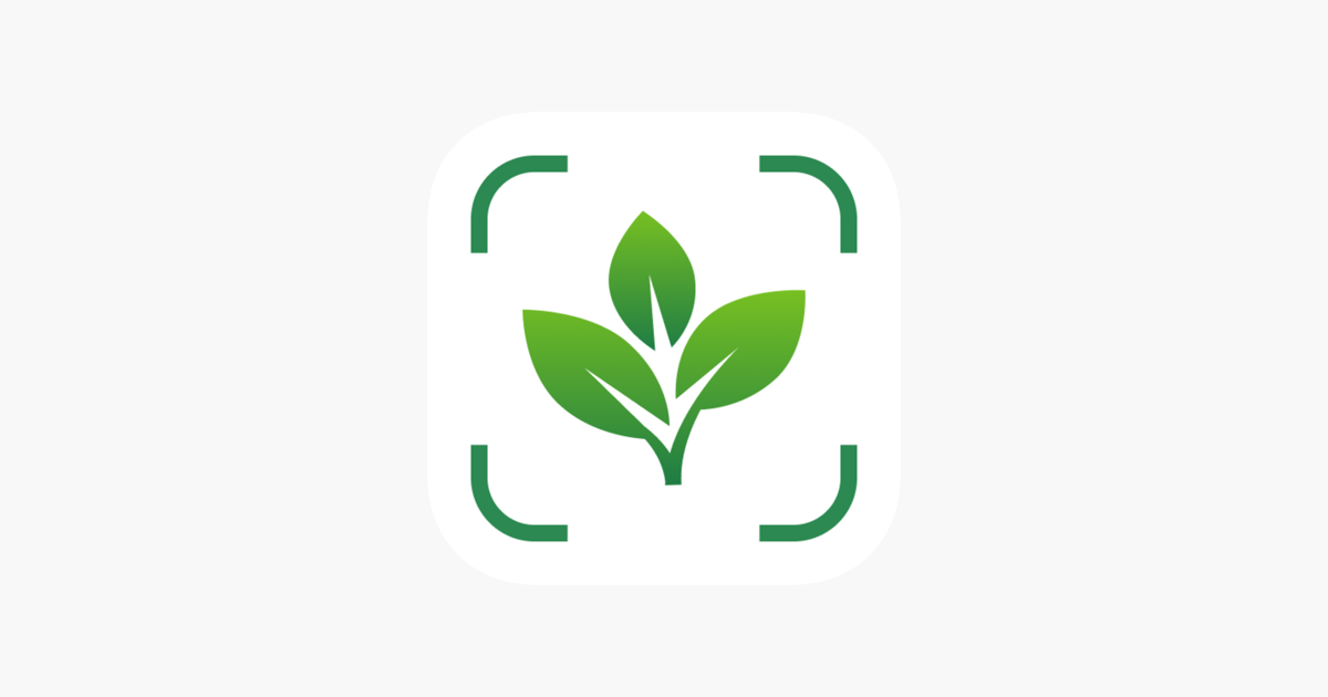 The Plant Identification App On The App Store The Plant Identification App On The App Store