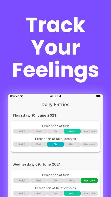 Borderline Personality Tracker by Adam Cziko