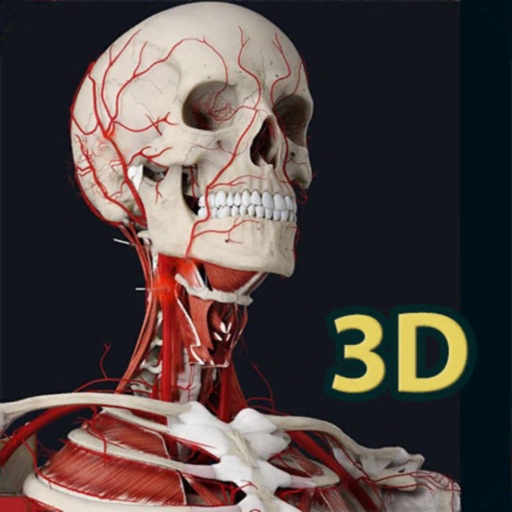 Human Anatomy 3D by Hamid Ebrahimi