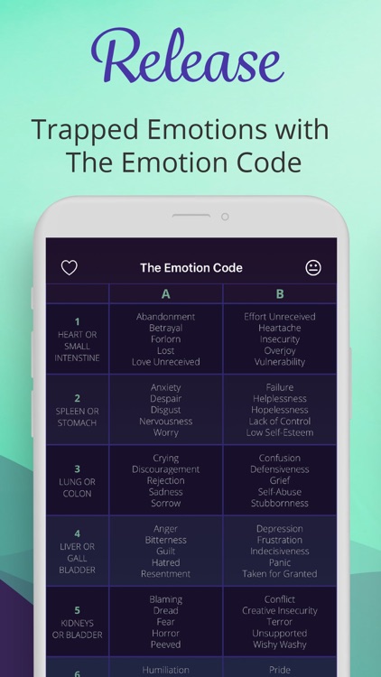 The Body Code System by Discover Healing, Inc.