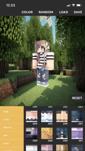 Custom Skin Creator for iPhone - APP DOWNLOAD
