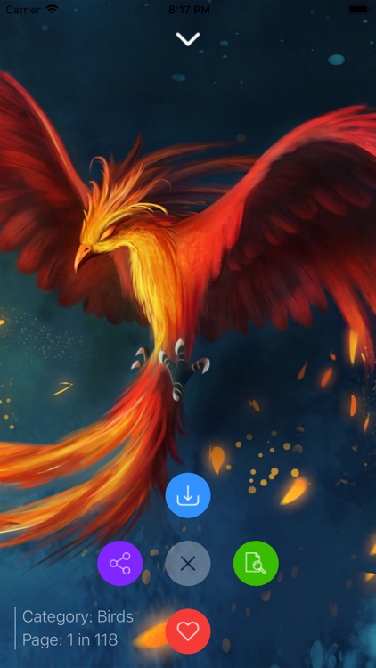 Wallpapers birds by KeyCode, LTD