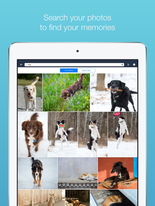 Amazon Prime Photos: iOS-App mit Verbesserungen und Sicherung von Live ...