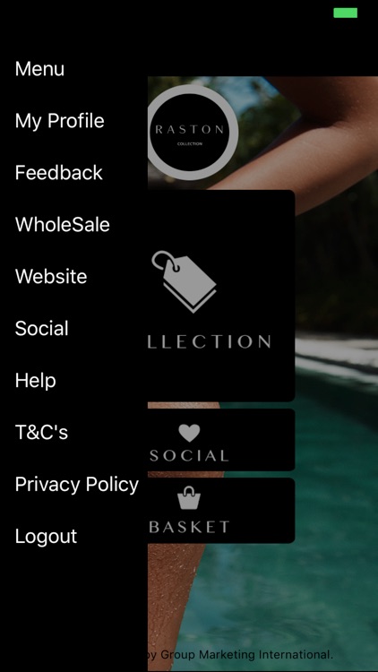 Raston Collection by Rebecca Raston