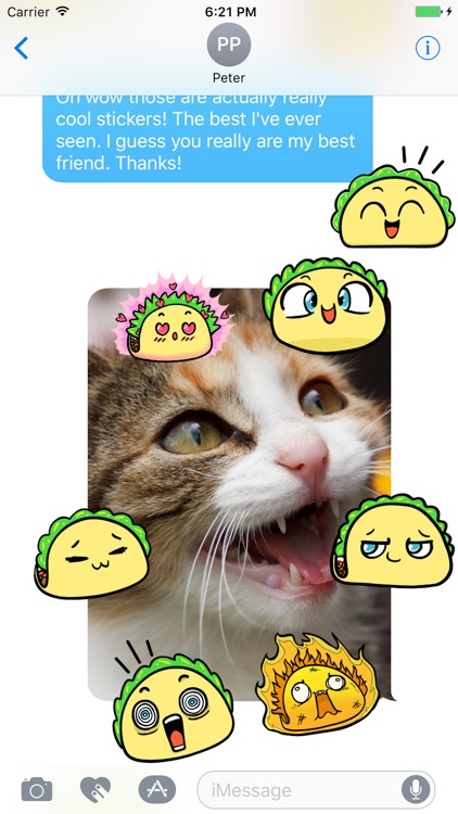 Food Evolution Taco Stickers by Diced Pixel, LLC