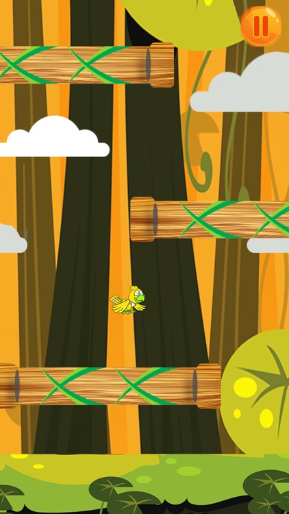 Super Bird Adventure by Tyler Barzare