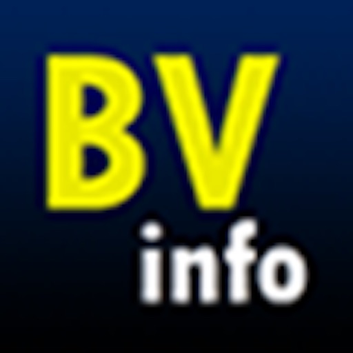 BV Info by Tyler Lafferty