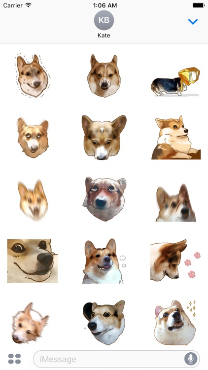 DogMoji Animated Stickers by KIM KON KET